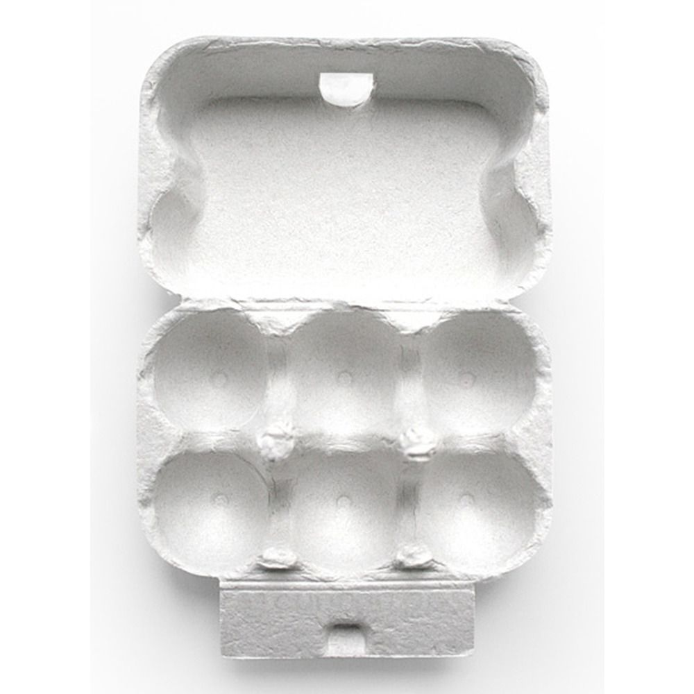 6 quail egg box grey | FA98426